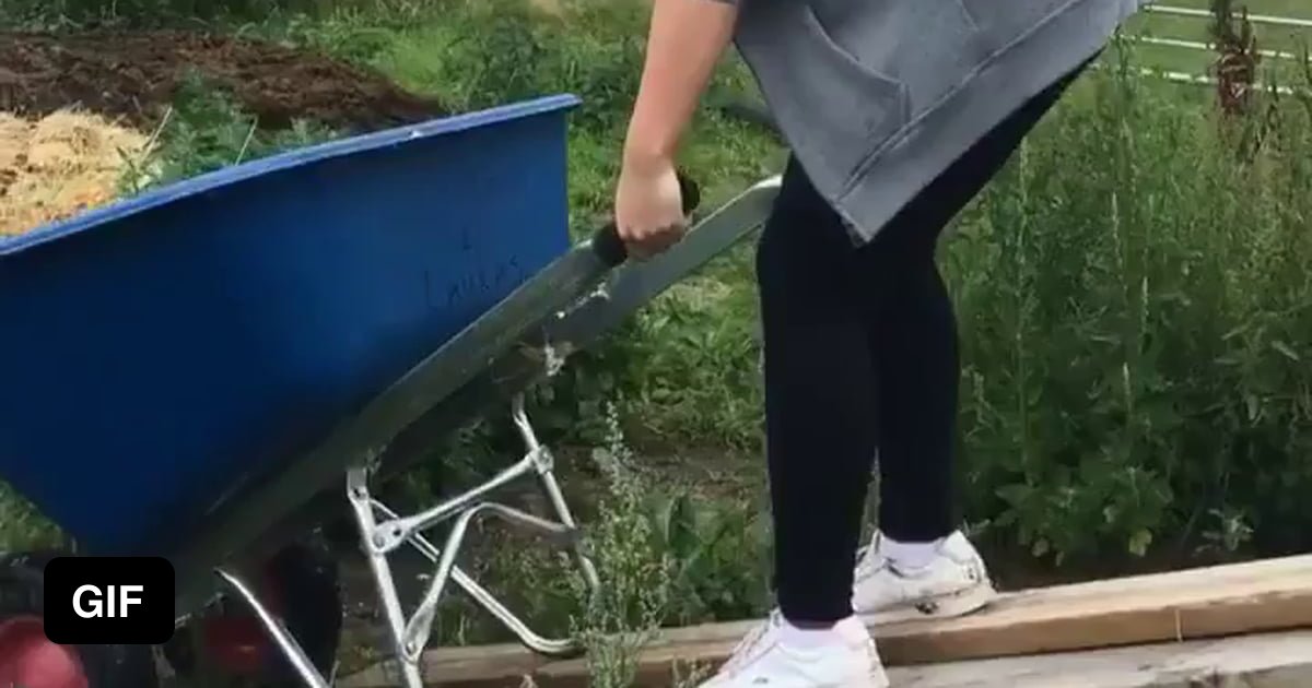 Flawless Execution - 9GAG