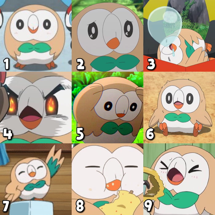Which Rowlet are You Today? - 9GAG
