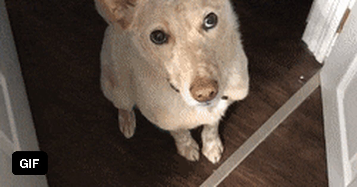 Sending subtle hints - 9GAG