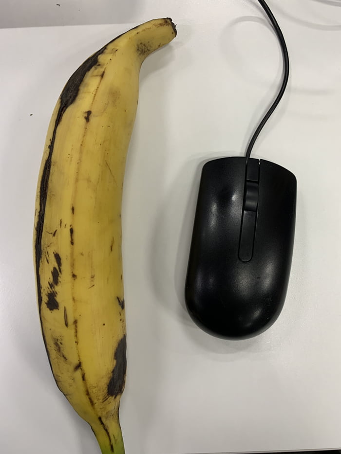 Banana. Mouse for Scale - 9GAG