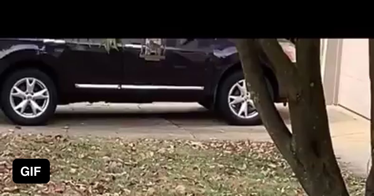 You can see the confusion intensifying - 9GAG