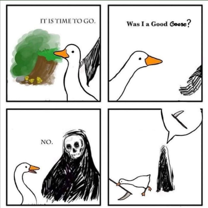 Poor Goose - 9GAG