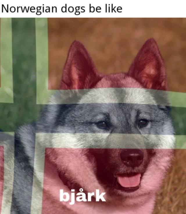 Bjark - 9GAG
