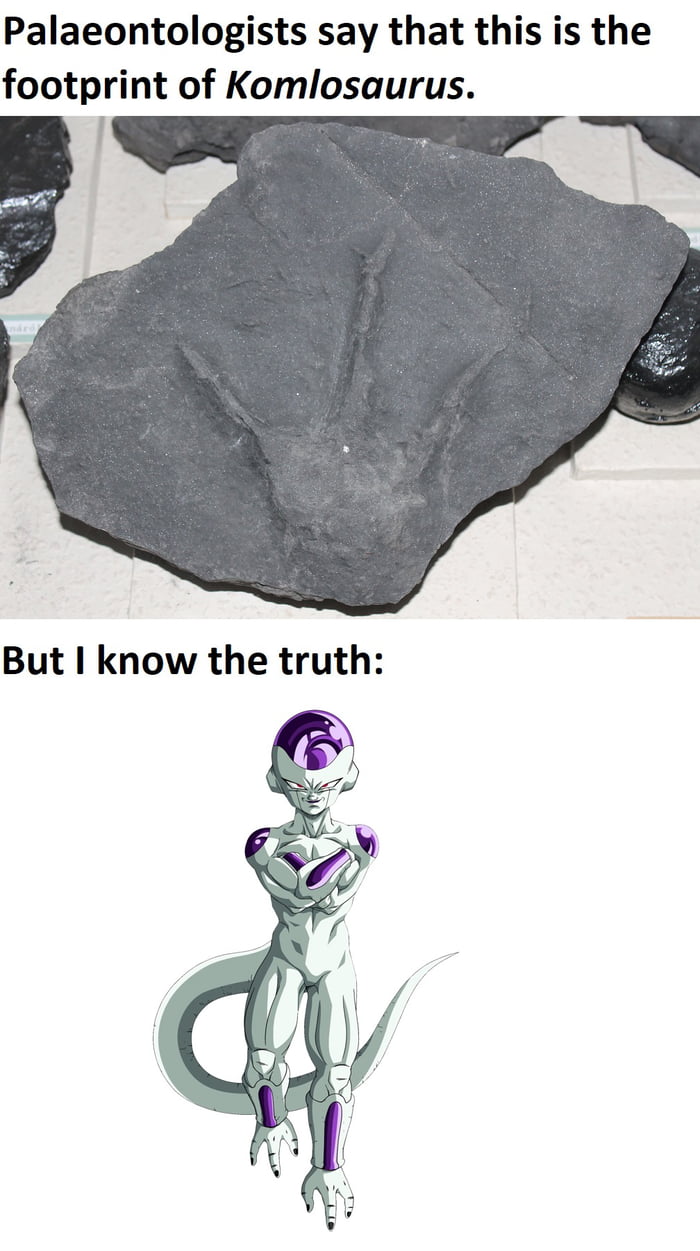 The truth is - 9GAG