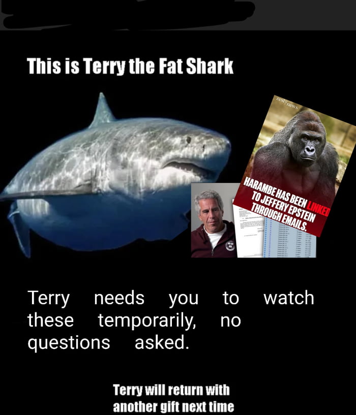 It all makes sense, has anyone seen Terry today? - 9GAG
