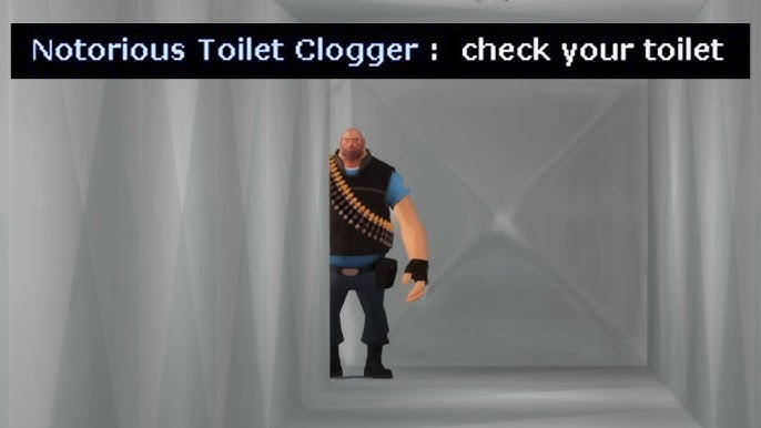 Notorious Toilet Clogger: Porcelain Throne's Bane - 9GAG