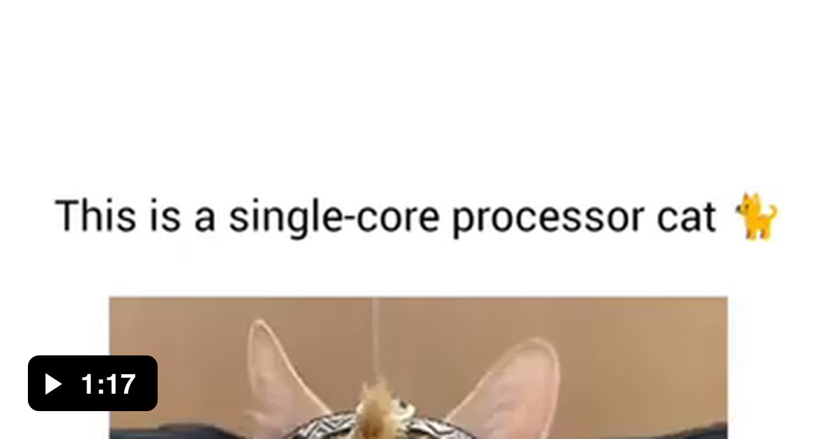 Orange Single Core Processor 🍊🧡 - 9GAG