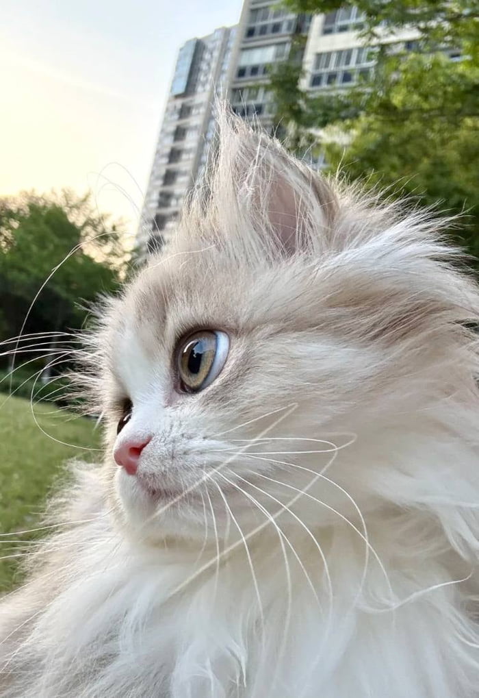 It was the first time I spent time with my cat and I took such ...