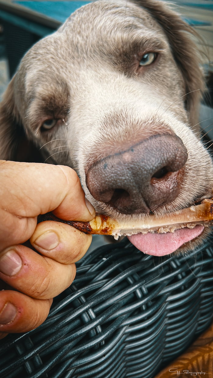 Me and my bro enjoying some meat - 9GAG