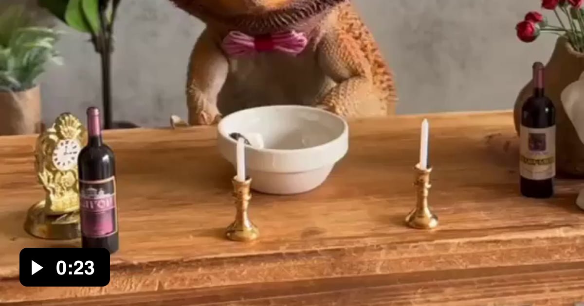 Give me food! - 9GAG