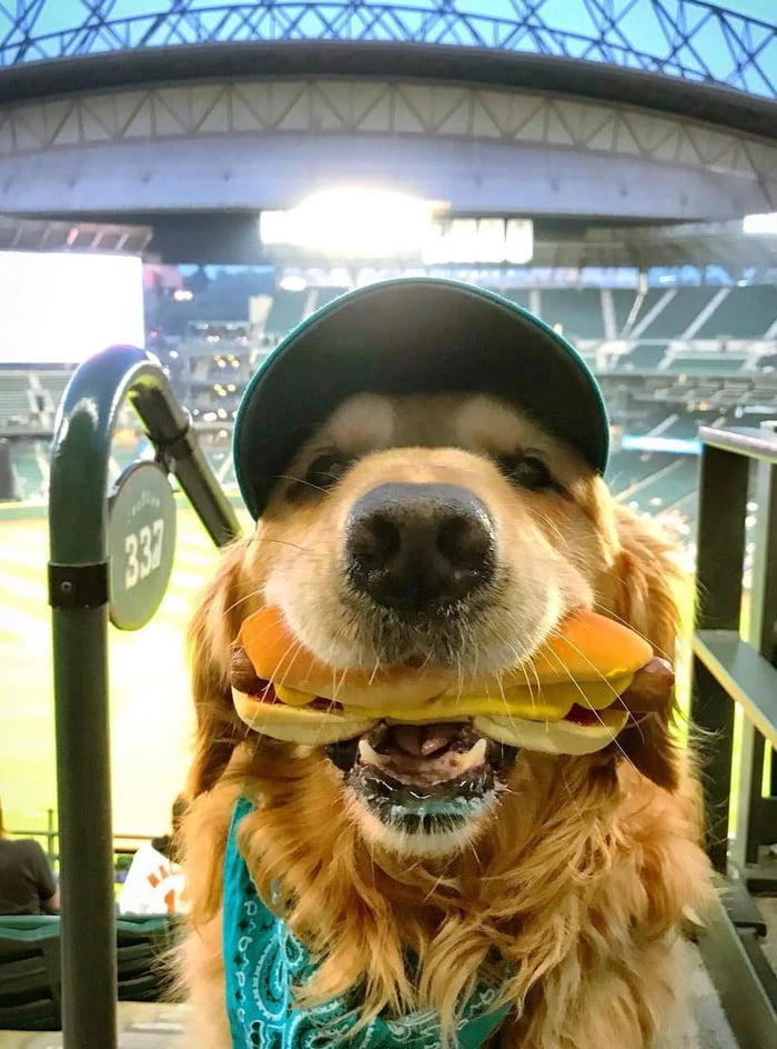 He took a 10/10 photo🥰 - 9GAG