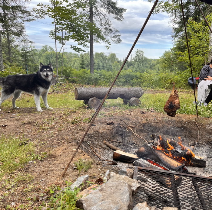 Bbq from Canada - 9GAG