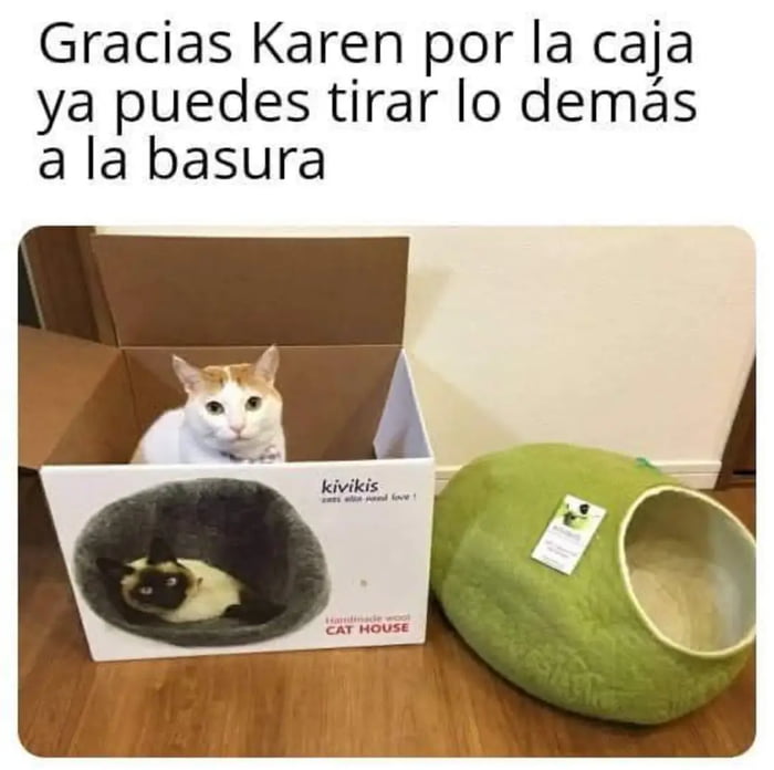 Méndigo gato - 9GAG