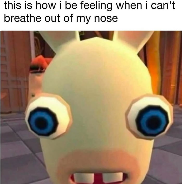 Hate it when I get sick and my nose just wants to be there for decoration and shit - 9GAG