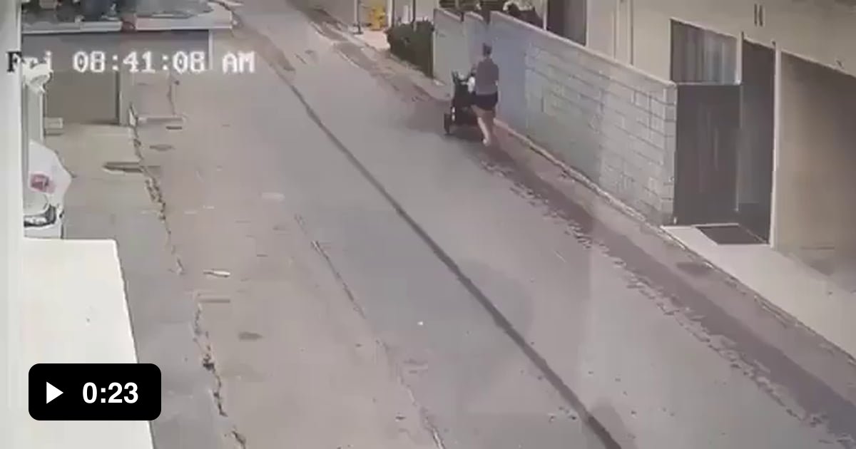 Woman takes the brunt of the impact of this car to save her child. Then ...