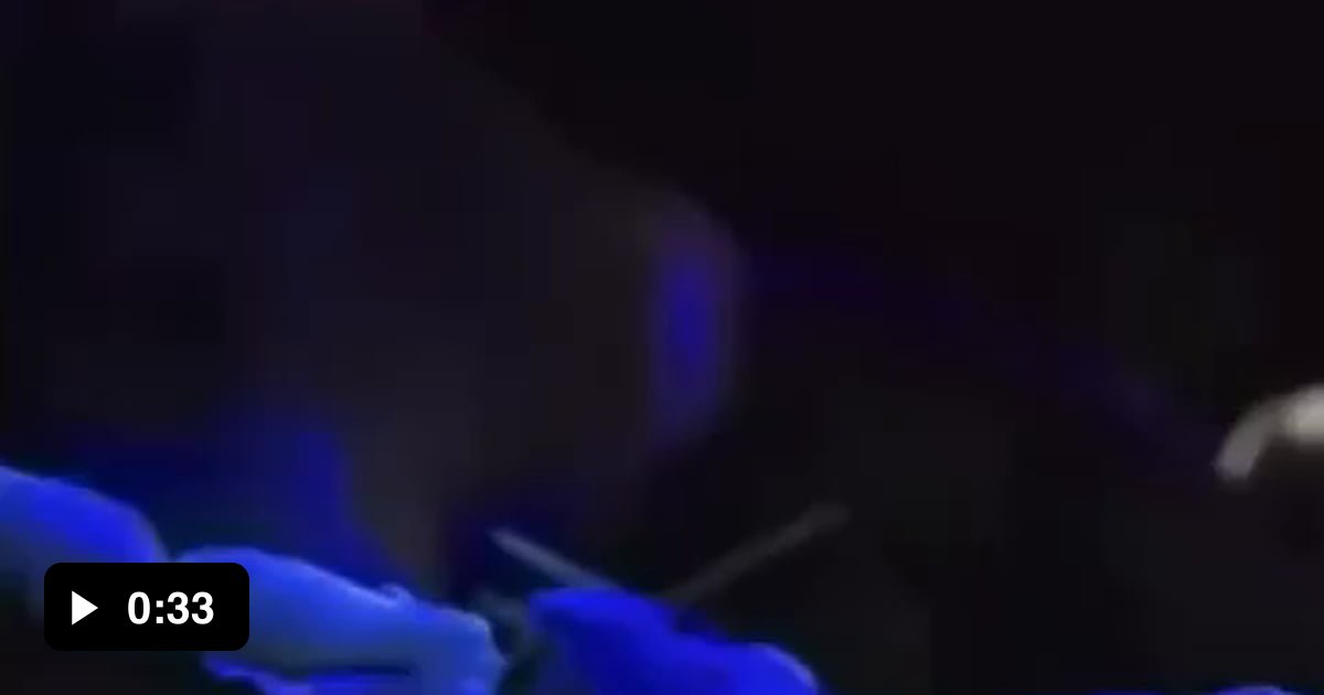 Mouse howling at the moon after victory - 9GAG