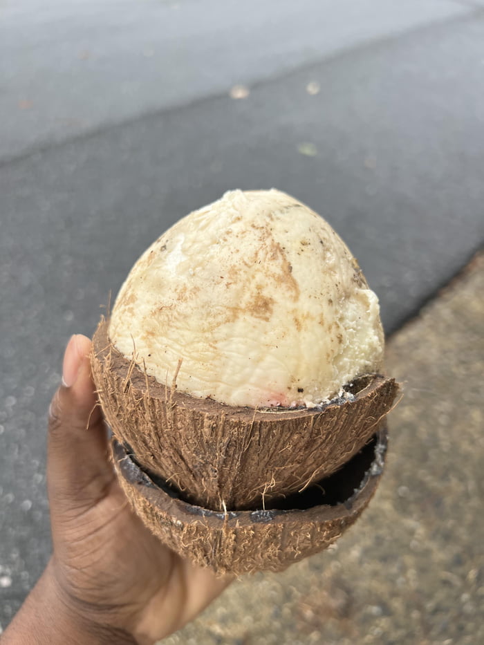 Perfect de-shell of a coconut - 9GAG