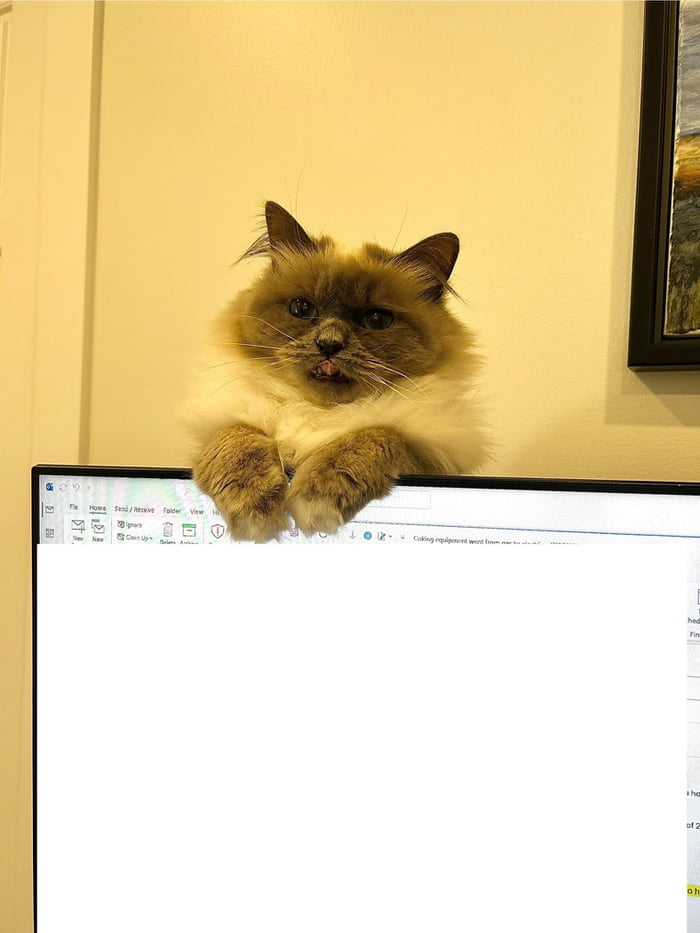 Tech Support making sure everything is running smoothly - 9GAG