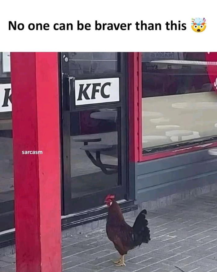 She must be very brave 😀 - 9GAG