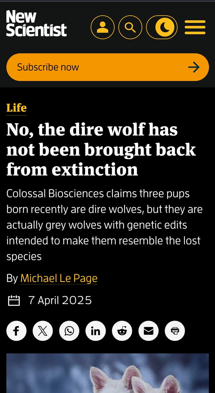 So it was bullshlt. Just some grey wolves with edited genes to make ...