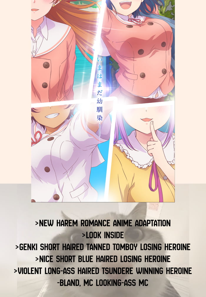 Hot garbage harem romance meta continues - 9GAG