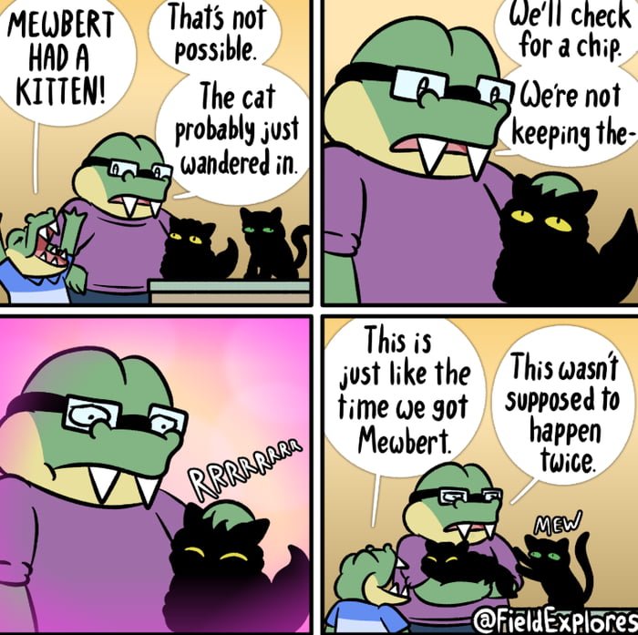 Cat Distribution System (Part 2) - 9GAG