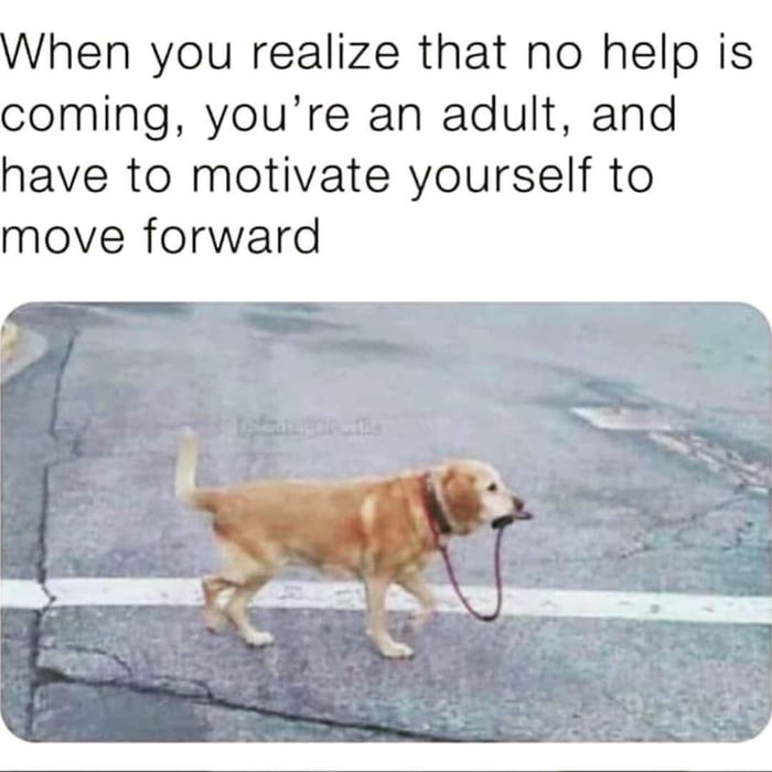 Strong independent doggo - 9GAG