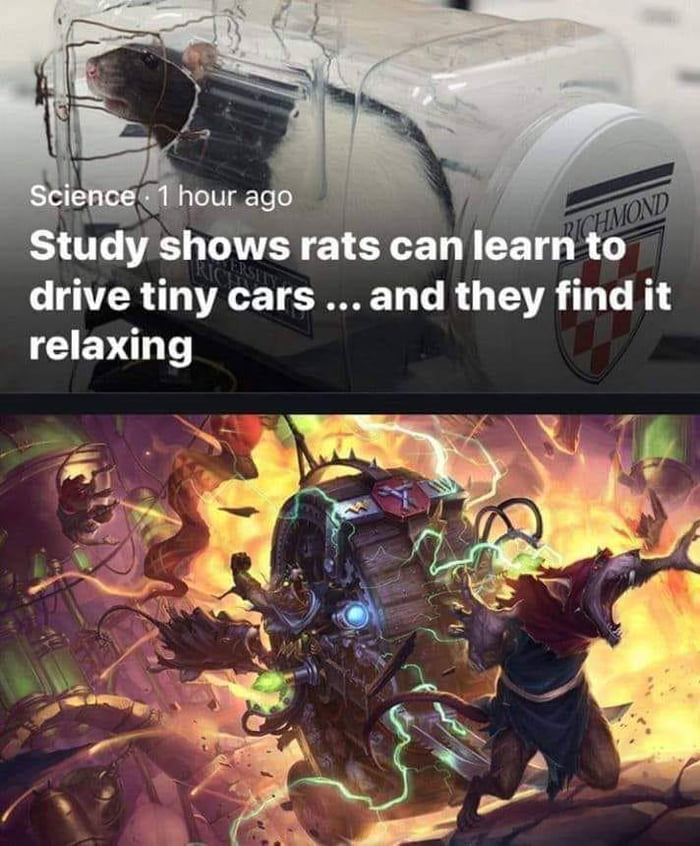 For the Horned Rat - 9GAG