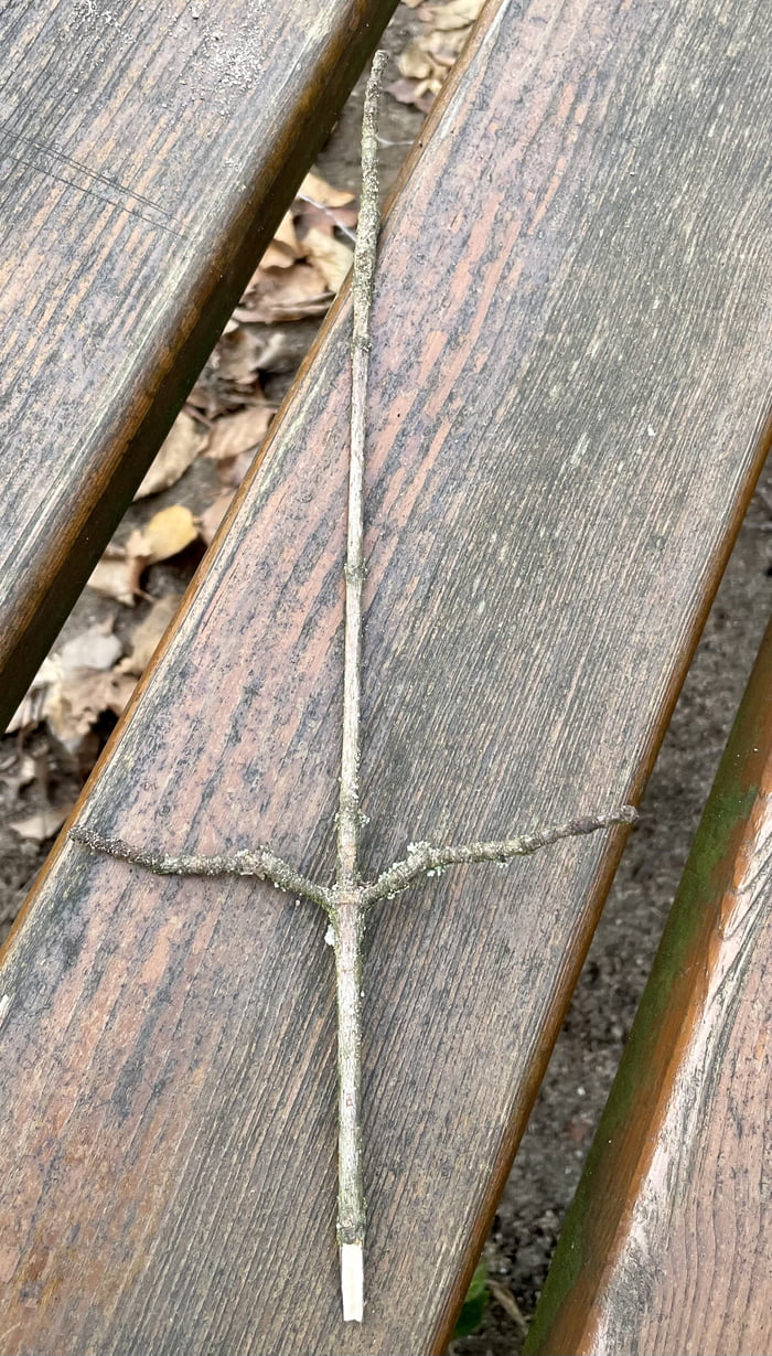 Rate my Stick - 9GAG