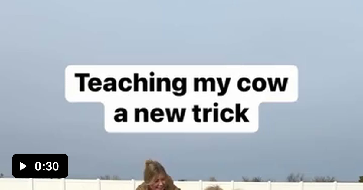 Clearly understood the assignment - 9GAG