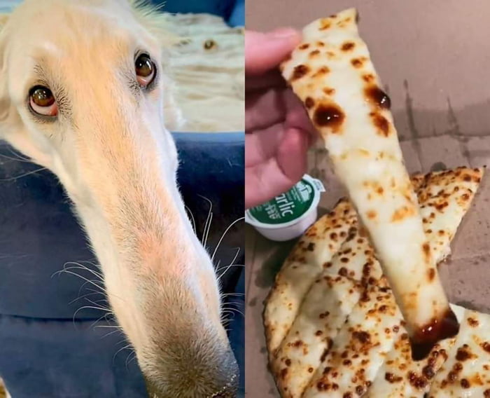 Long nose boi - 9GAG