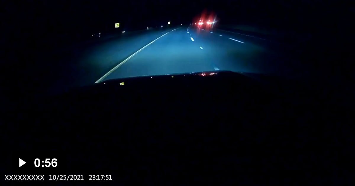 Unexpected obstacle on the night drive - 9GAG
