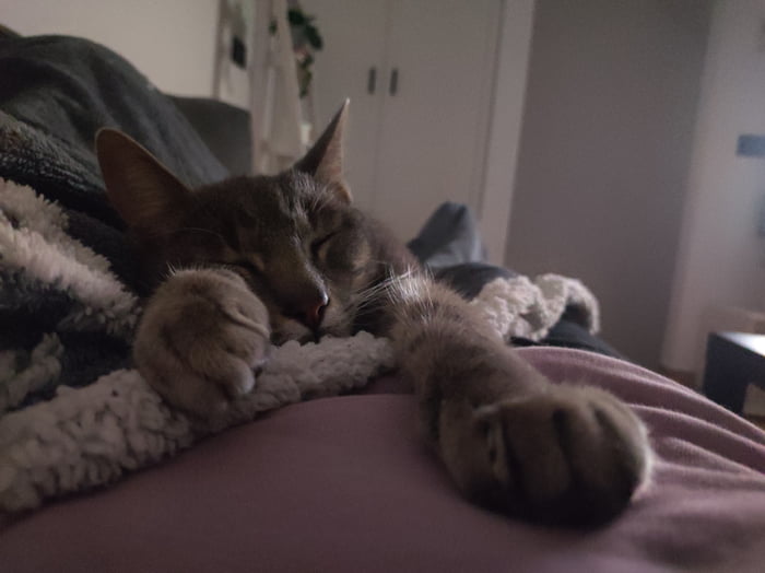 See you tomorrow - 9GAG