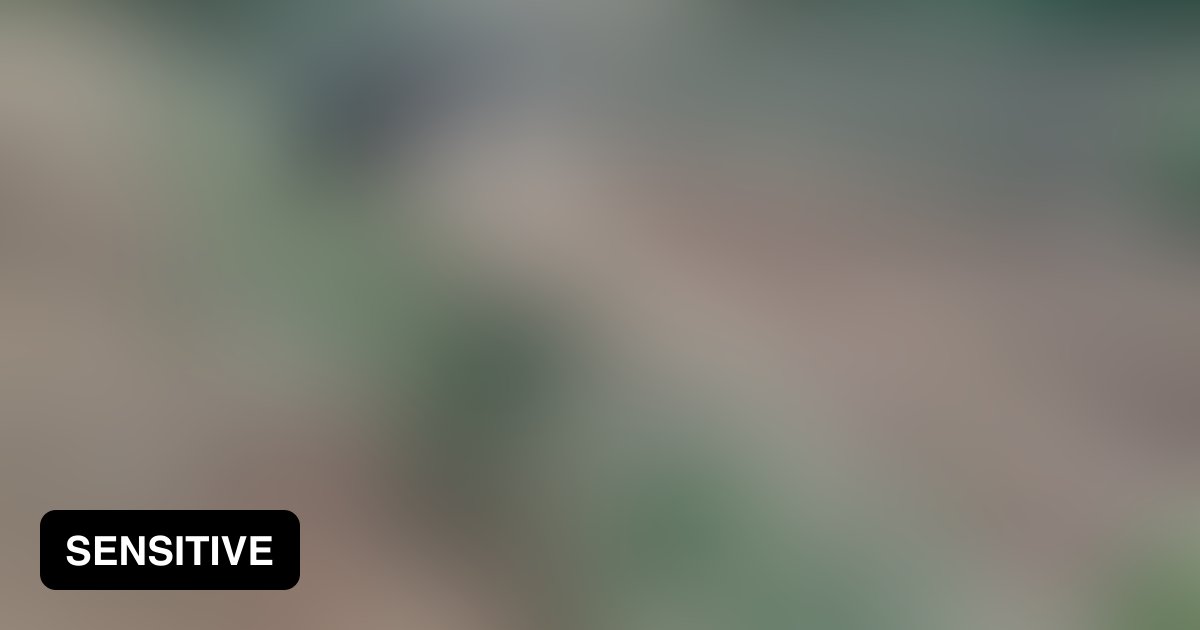 Man killed while taking a selfie with a bear - 9GAG