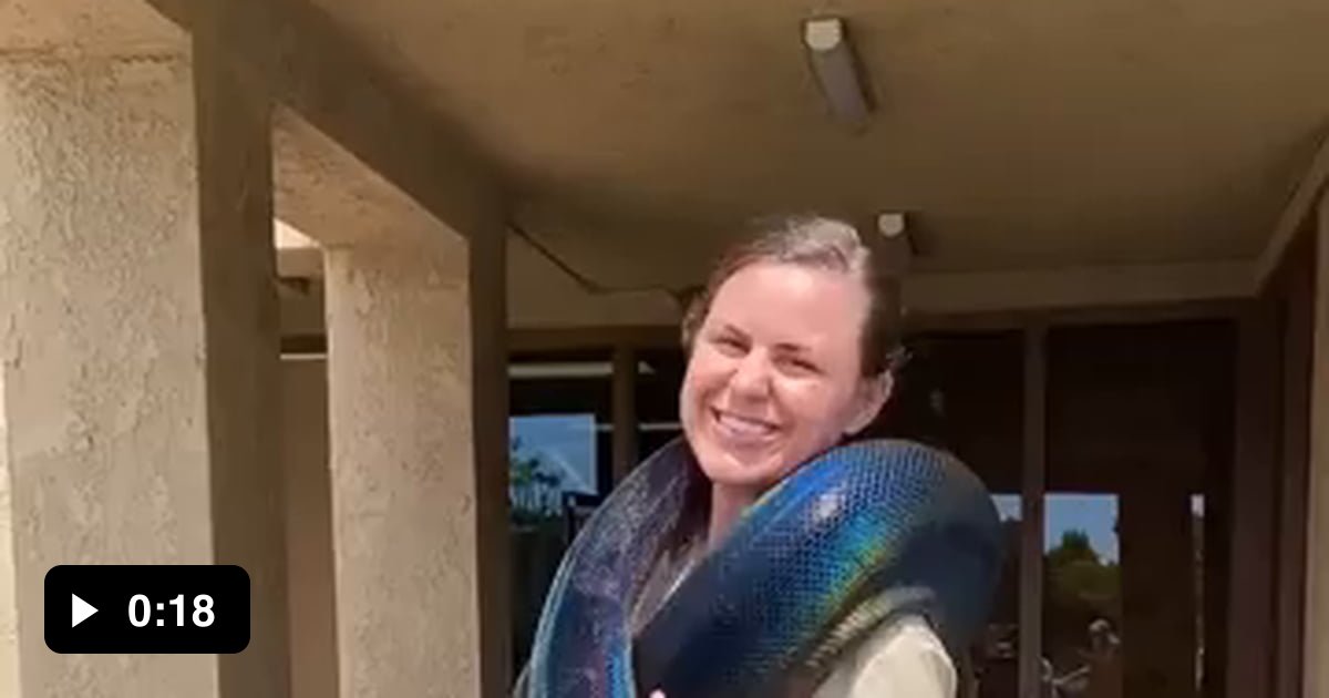 This rainbow python - 9GAG