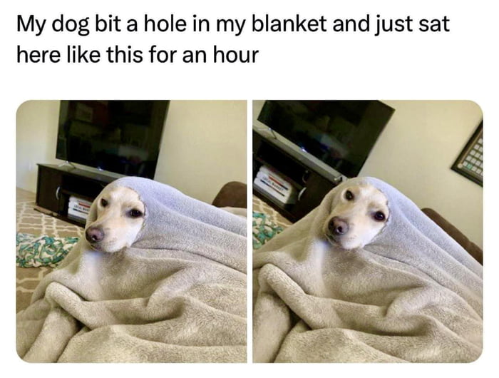 Not even a hint of guilt lmao - 9GAG