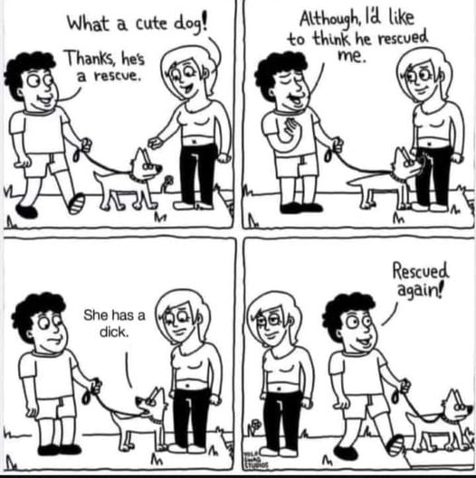 DAMN GOOD DOG! - 9GAG