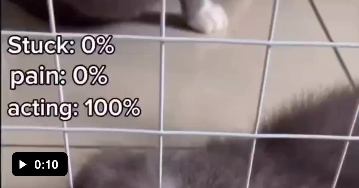 Aww... Wait... LIAR! - 9GAG