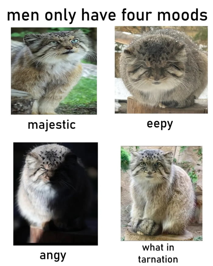 There is another one - 9GAG