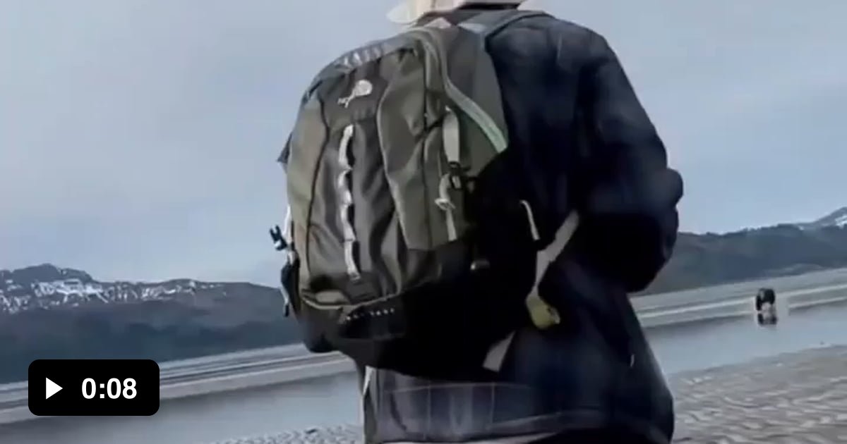 Getting the perfect wildlife shot sometimes means getting a little too close - 9GAG