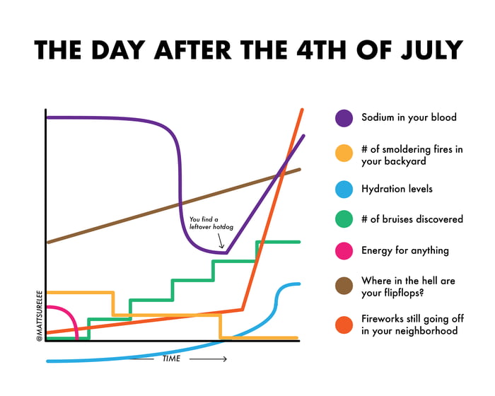 The day after the 4th of July, a comprehensive analysis of the aftermath. - 9GAG