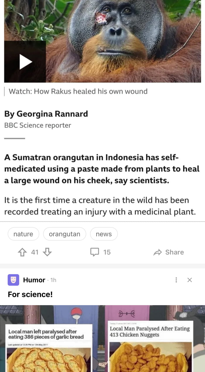 Perfectly placed posts … - 9GAG