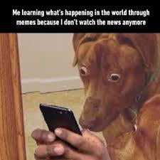 Who needs the news when you've got memes? Catching up on world events ...