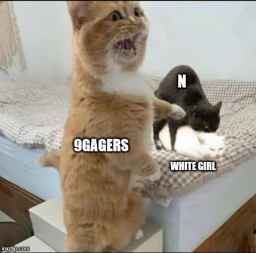 I had to use this template - 9GAG