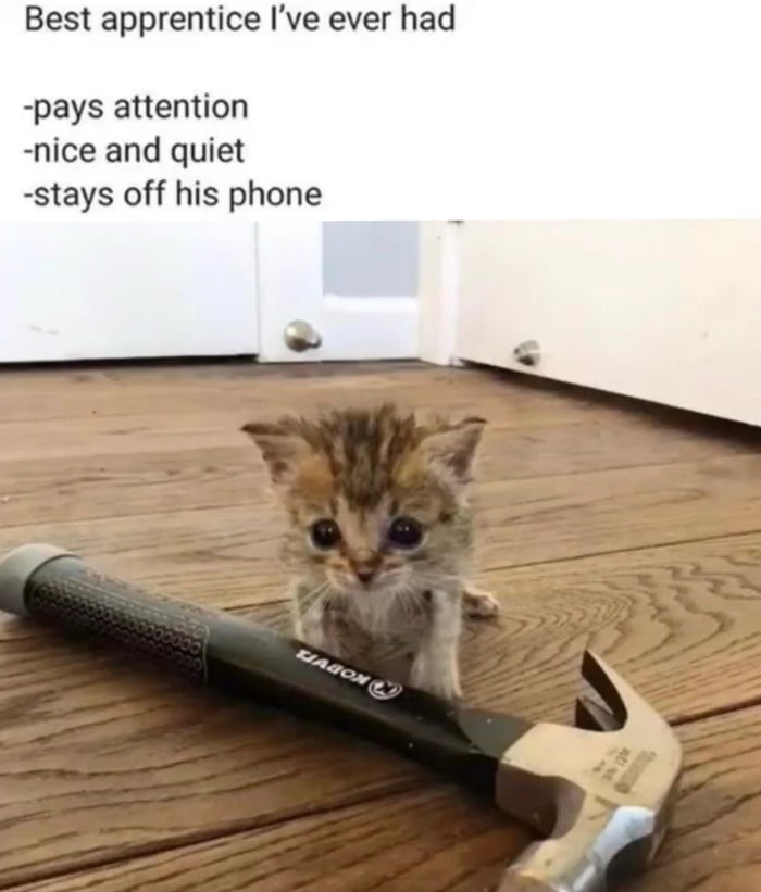 Best apprentice I've ever had, so smol and focused - 9GAG