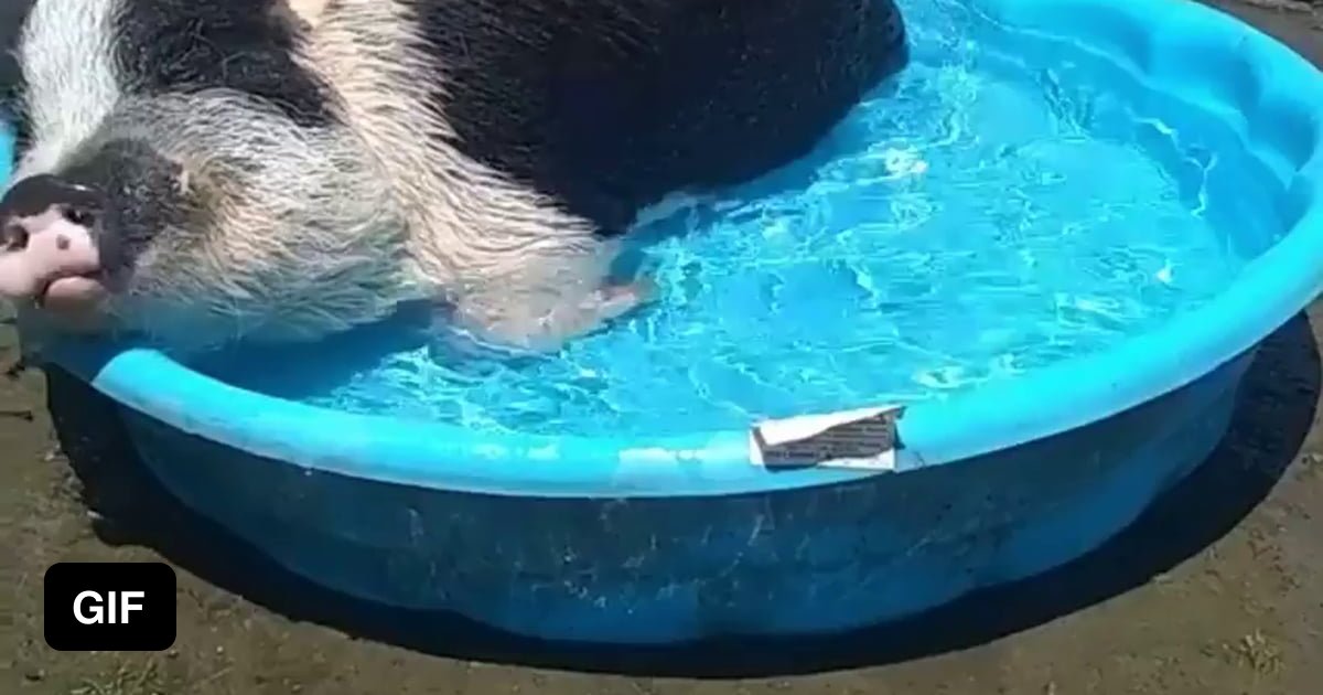 Finally some pool weather! - 9GAG