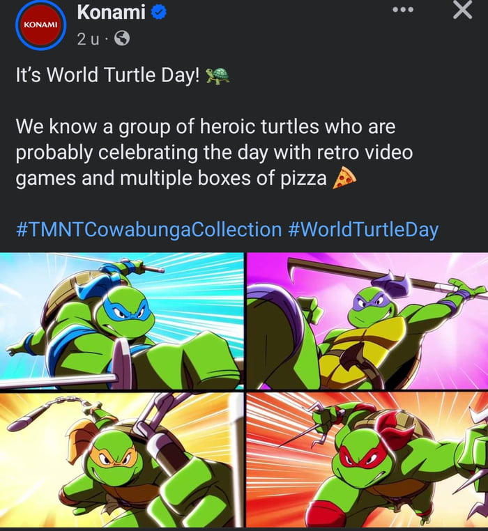 Turtle day - 9GAG