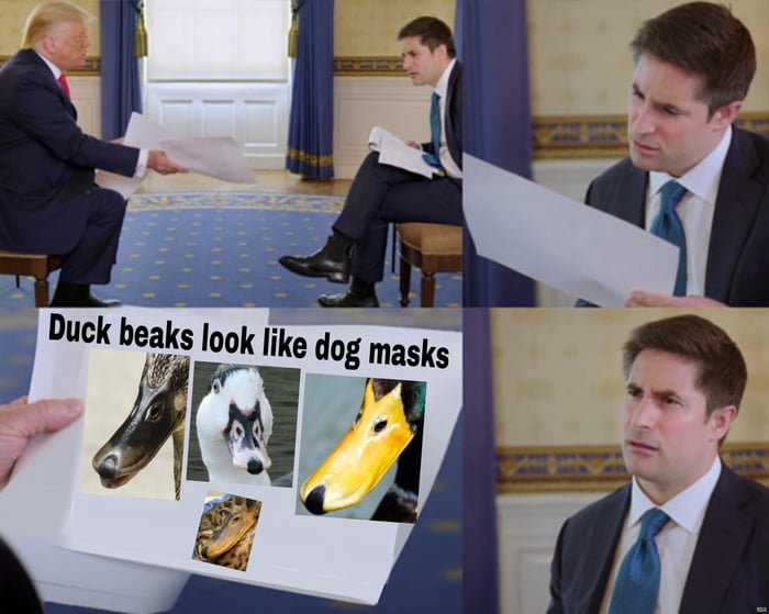 I've not been able to hold a serious conversation with a duck since ...