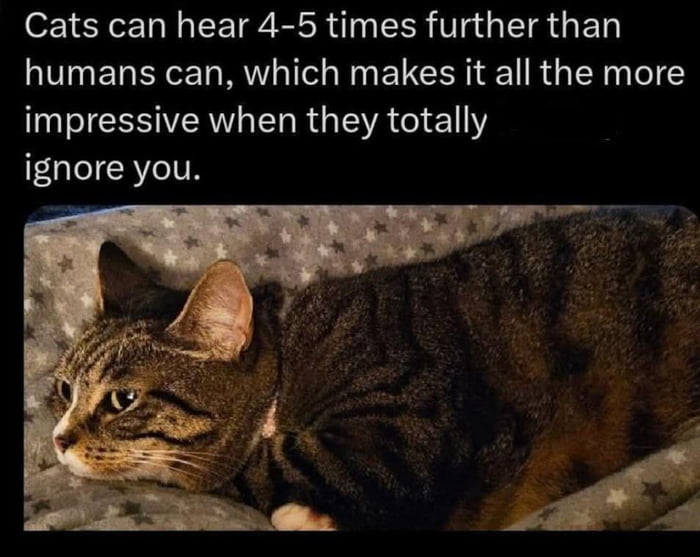 Not here to entertain a can opener - 9GAG