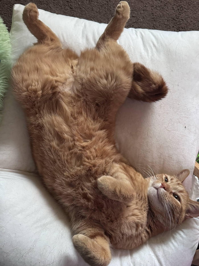 Peanut butter belly time - 9GAG